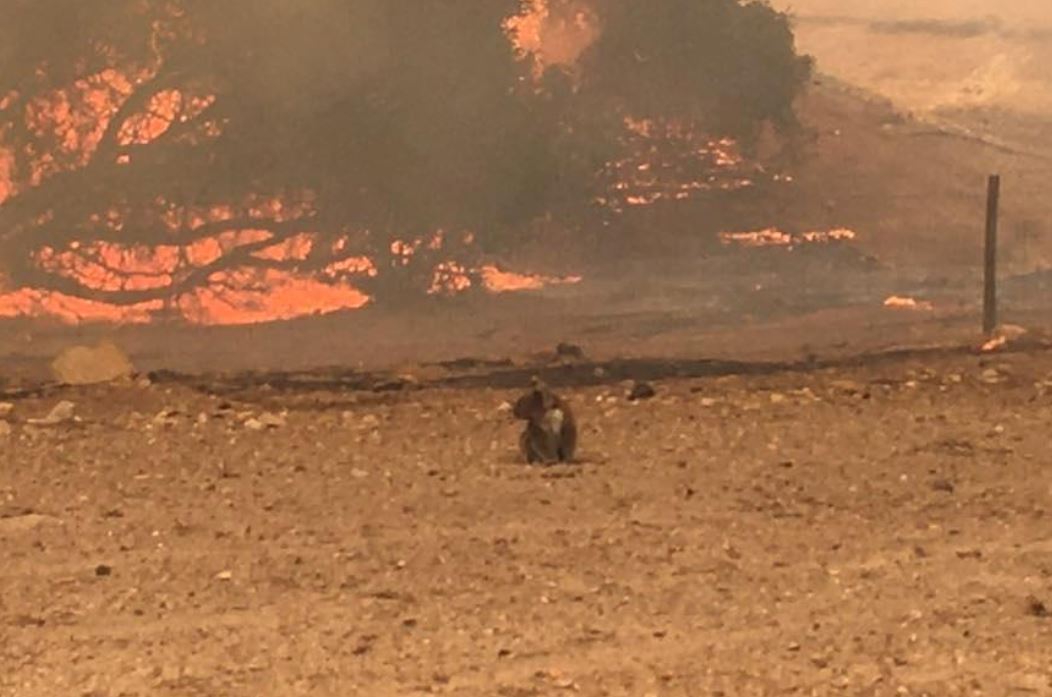 THIS is the state of us today… – The State of Us